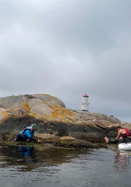 Fjällbacka: Seaweed Picking and SUP Paddling Tour - Detailed Breakdown of the Tour