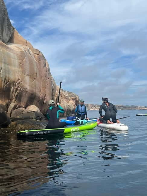 Fjällbacka: Seaweed Picking and SUP Paddling Tour - Who Is This Tour Best For?