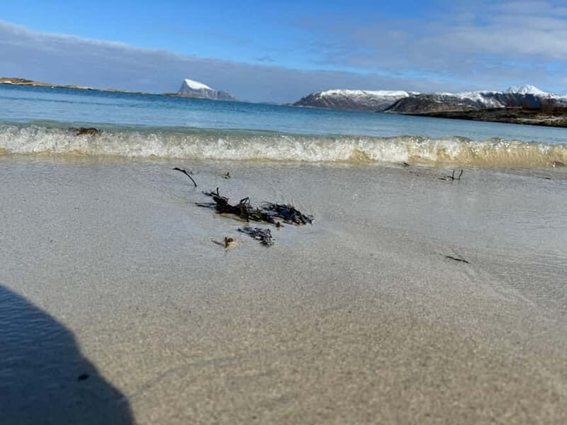 Fjord Foto Tour to Sommaroy (Roadtrip) - Who Will Love This Tour?