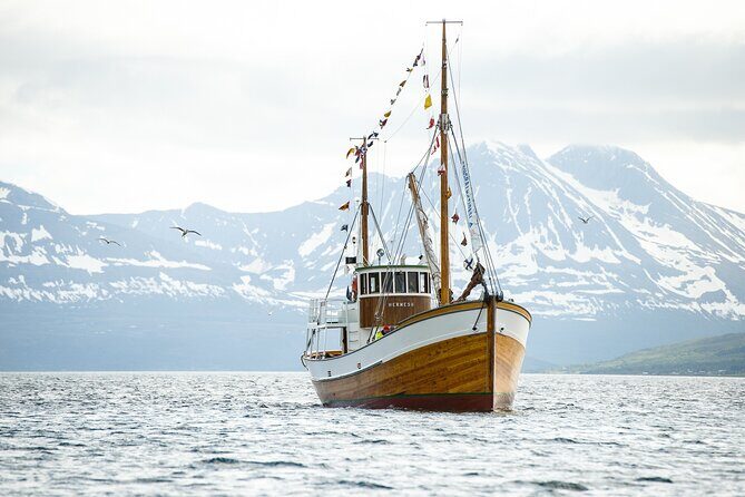 Fjord & History Cruise - Key Points