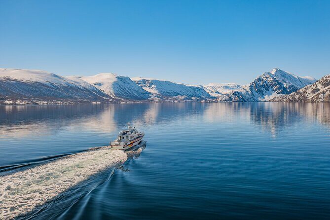 Fjord Safari in the Altafjord - Key Points