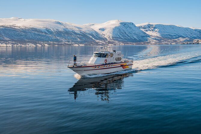 Fjord Safari in the Altafjord - The Sum Up