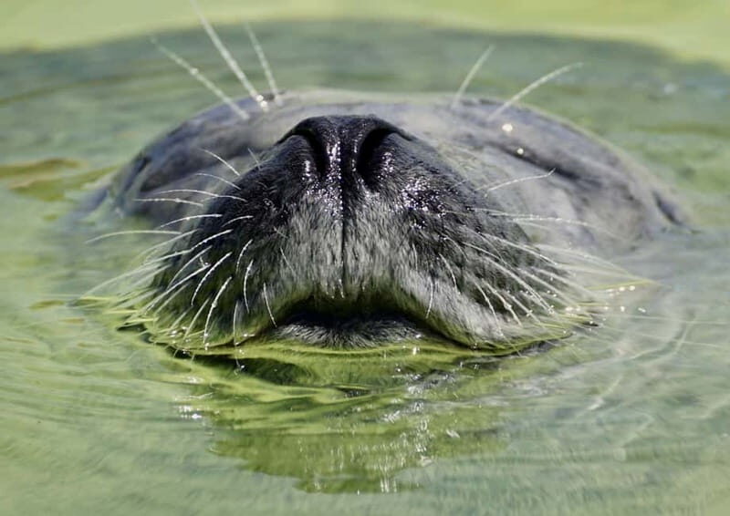 Fjord Tour and Amazing Sights by Minibus - Key Points