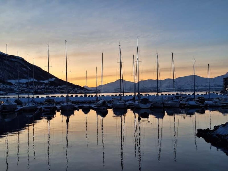 Fjord Tour and Amazing Sights by Minibus - An Authentic Arctic Journey