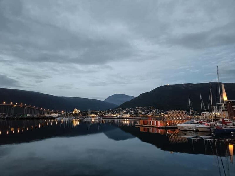 Fjord Tour and Amazing Sights by Minibus - Authentic Experiences and Traveler Feedback