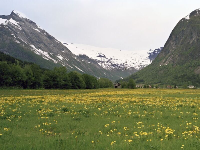Fjords: Private Trip with Train and Cruise Ride - Transportation and Logistics: The Value of Multiple Modes