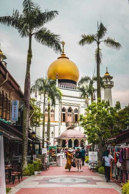 Flagship Singapore Cultural City Tour - The Grand Finale: Raffles Hotel and the Singapore Sling