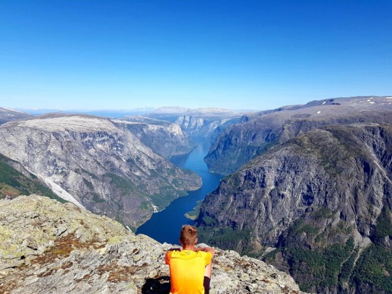 Flåm: Borgund Stave Church, Lærdal, and Stegastein Tour - Key Points