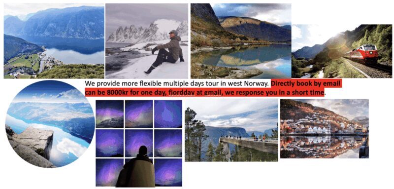 Flåm Flexible Tour with Stegastein, cruise and train include - Introduction: A Personalized Norwegian Fjord Adventure