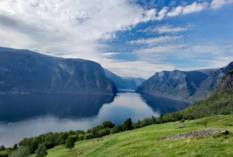 Flåm Flexible Tour with Stegastein, cruise and train include - Review Highlights from Past Travelers