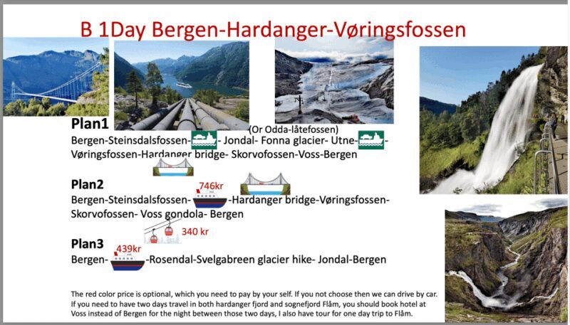 Flåm Flexible Tour with Stegastein, cruise and train include - The Value Proposition