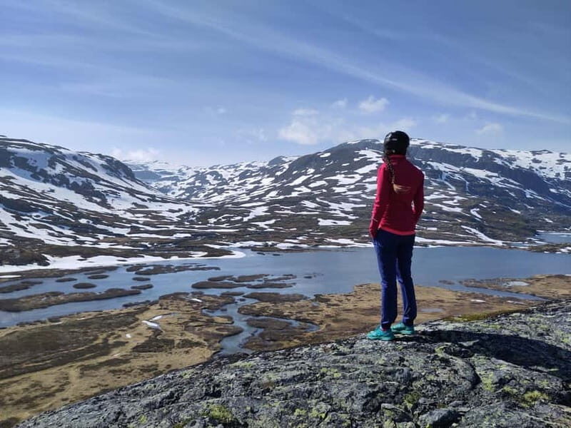 Flam-Myrdal: Guided e-bike tour on the famous Rallarvegen. - The Charm of the Rallarvegen Experience