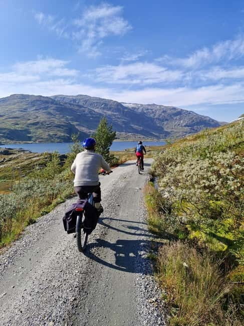 Flam-Myrdal: Guided e-bike tour on the famous Rallarvegen. - The Value of the Experience