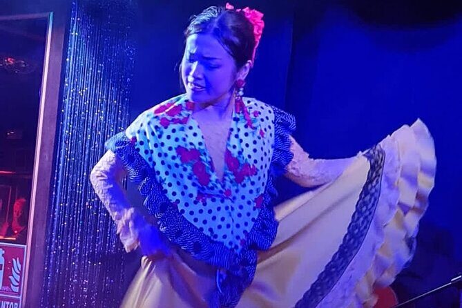 Flamenco Benalmadena Show - Who Should Consider This Tour?