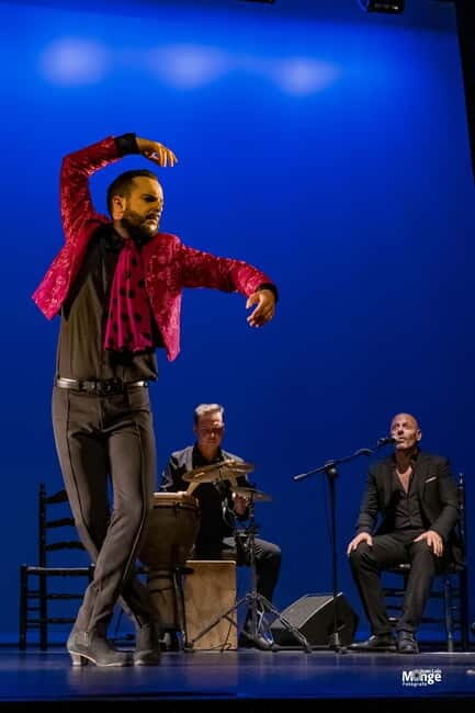 Flamenco Show at La Guarida del Angel with Drink - Authenticity and Cultural Significance