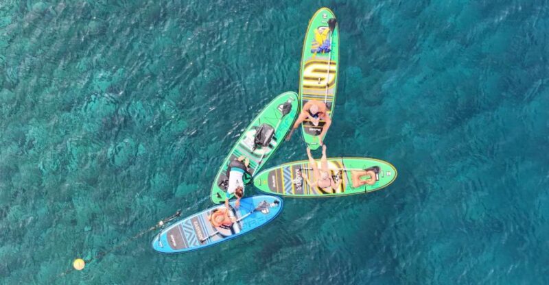 Flamingo Beach: Guided SUP and Snorkeling experience - An In-Depth Look at the Flamingo Beach SUP and Snorkeling Tour