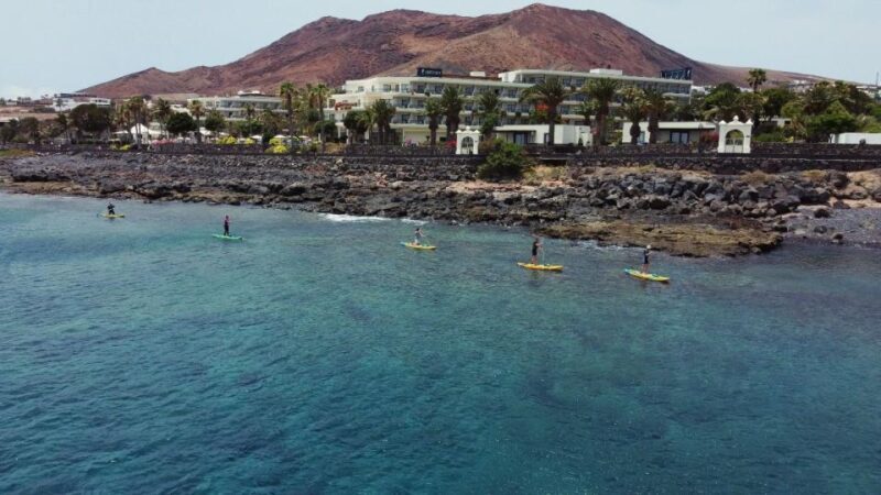Flamingo Beach: Guided SUP and Snorkeling experience - Final Thoughts