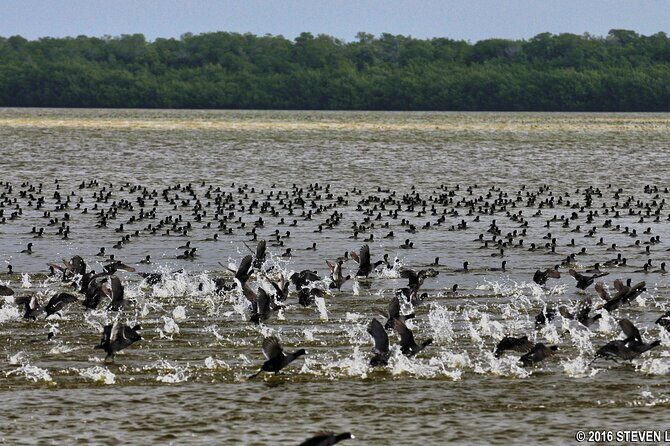 Flamingo Everglades Boat Tours - FAQ