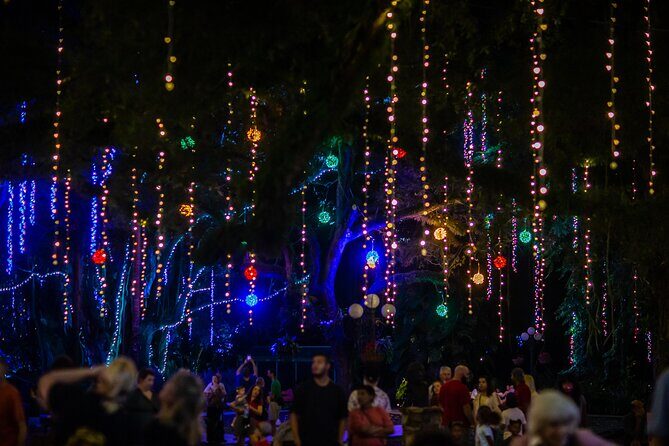 Flamingo Gardens' Garden of Lights - A Festive Walk Through the Lights