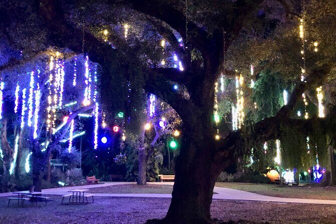 Flamingo Gardens' Garden of Lights - Family and Kid-Friendly Aspects