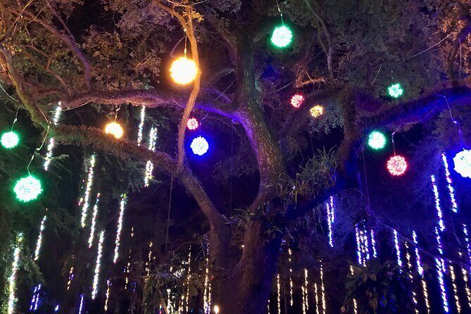 Flamingo Gardens' Garden of Lights - The Sum Up