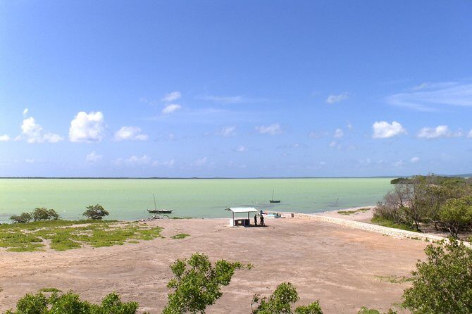 Flamingo Island - Laguna Oviedo - Who Should Consider This Tour?