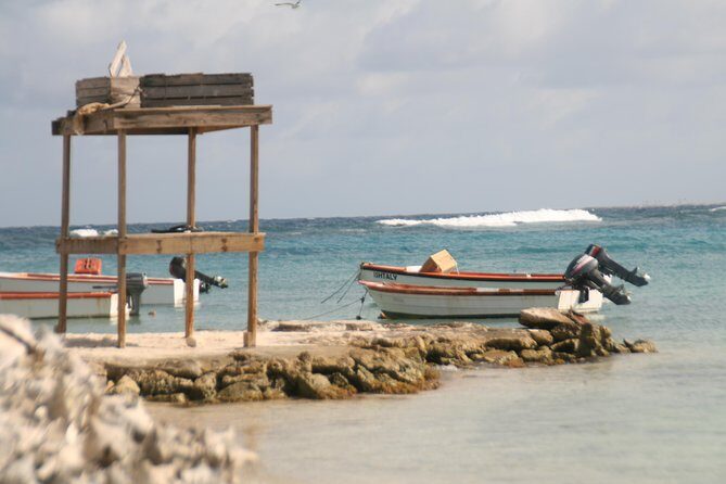 Flamingo & Mangrove Trip with Local Guide - Who Is This Tour Best For?