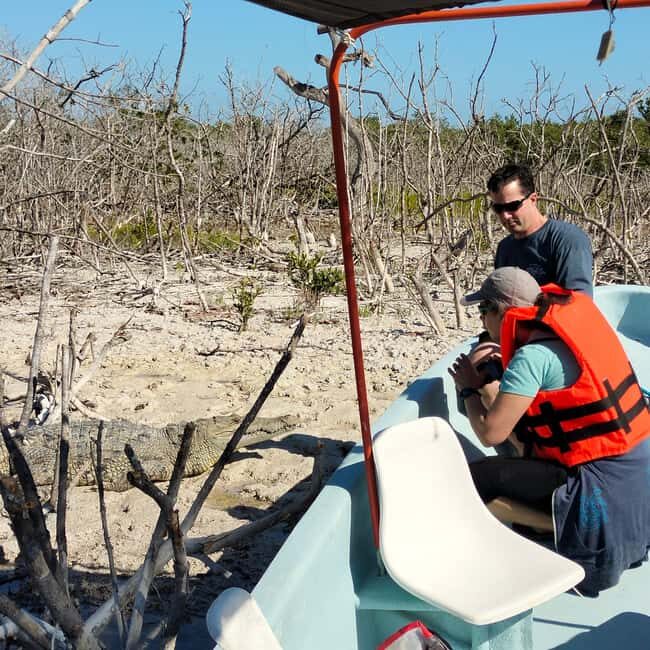 Flamingo tour Rio Lagartos, Yucatan 2 hours - Who Would Enjoy This Tour?