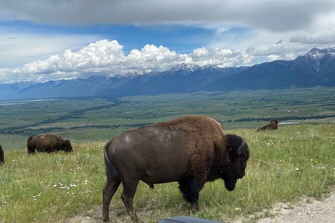 Flathead Lake & Bison Range Scenic Driving Tour - Detailed Breakdown of the Itinerary