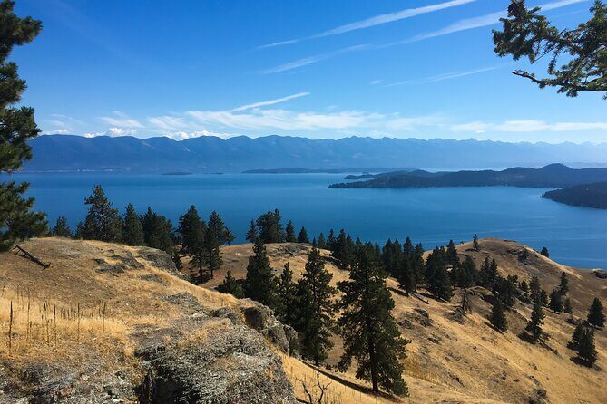 Flathead Lake Private Sunset Wild Horse Island Boat Tour - Authentic Experiences and Guest Feedback