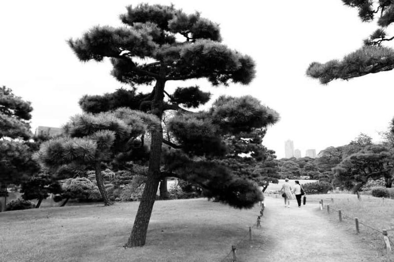 Flavors and Serenity: Tsukiji and Hamarikyu garden in Spanish - Value and Price Analysis