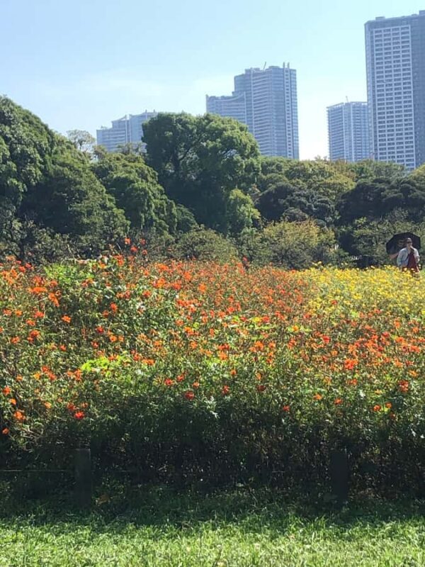 Flavors and Serenity: Tsukiji and Hamarikyu garden in Spanish - Who is this tour best for?