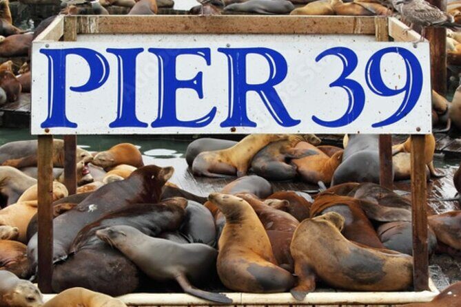Flavors of Fisherman's Wharf: A Self Guided Audio Tour - Key Points