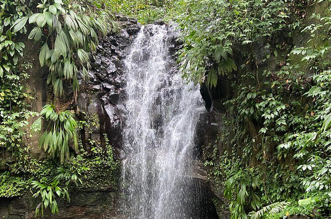 Flavors of Grenada - A Closer Look at the Tour Itinerary