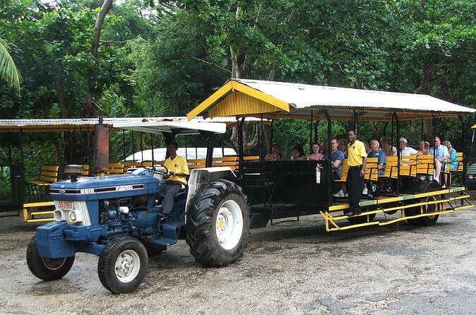 Flavors of Jamaica Food Tour from Falmouth - Who Will Love This Tour?