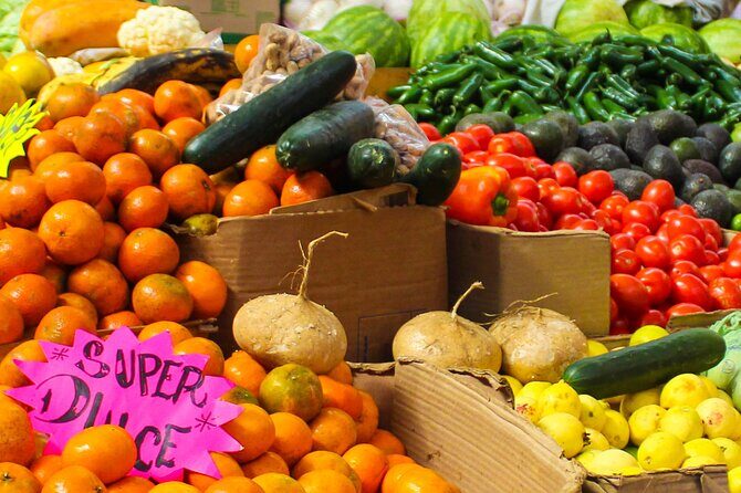 Flavors of Mexico City: A Tasty Urban Expedition - Value for Money