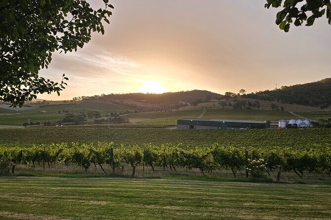 Flavour of the Yarra Valley Private Experience - Final Thoughts