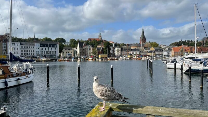 Flensburg: Running tour with insider tip guarantee - Key Points