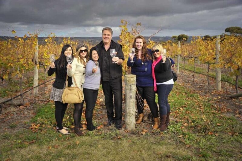 Fleurieu Peninsular: McLaren Vale Winery Experience - What Could Be Improved?