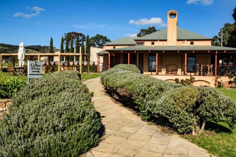 Fleurieu Peninsular: McLaren Vale Winery Experience - The Overall Experience