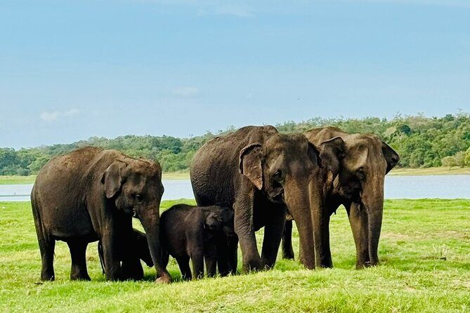 Flexible Budget Taxi Tours in Sri Lanka with English Support - Why Choose This Tour?