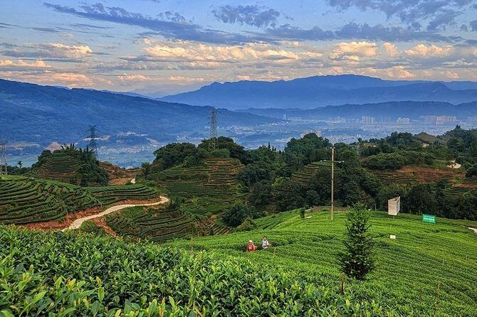 Flexible Hangzhou Private Day Tour with Lunch - Final Thoughts