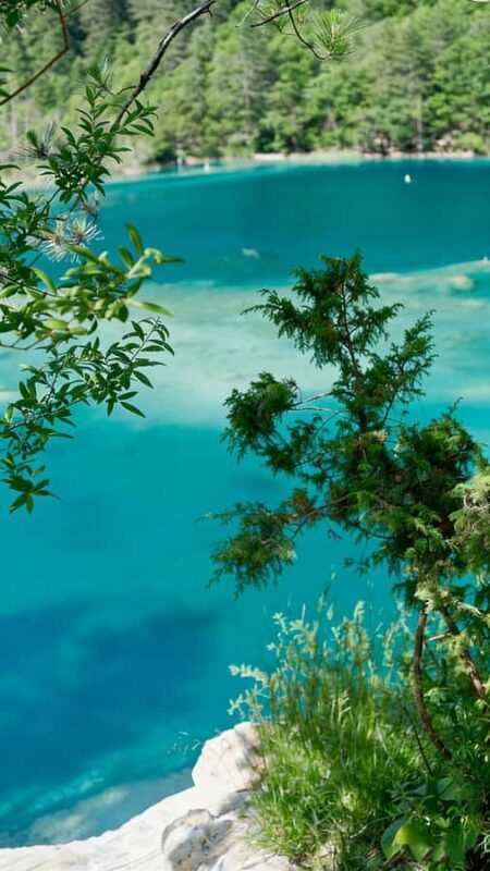 Flexible Jiuzhaigou Day Tour Options: Shared or Private - Introduction