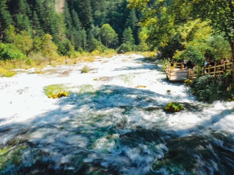 Flexible Jiuzhaigou Day Tour Options: Shared or Private - Key Points