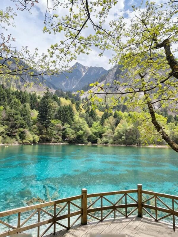 Flexible Jiuzhaigou Day Tour Options: Shared or Private - Detailed Breakdown of the Itinerary