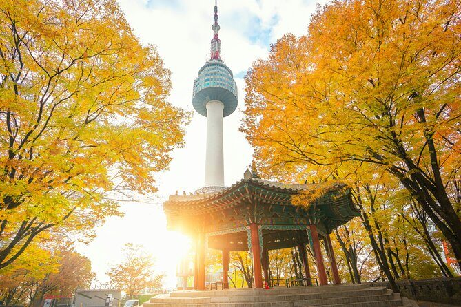 Flexible Private Guided Tour in Seoul (Optional Layover) - Who Will Love This Tour?