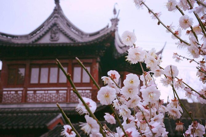 Flexible Shanghai Private Day Tour from Suzhou by Bullet Train - Assessing the Value