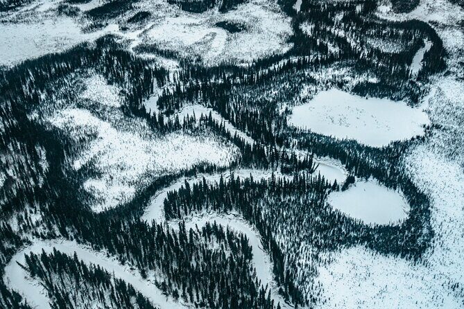 Flightseeing Day Trip from Fairbanks with Lunch - The Return and End of the Day
