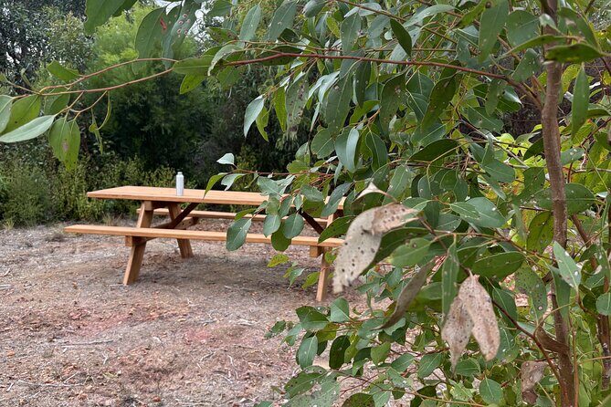 Flinders Chase Private Luxury Tour - Flinders Chase National Park (4 hours)