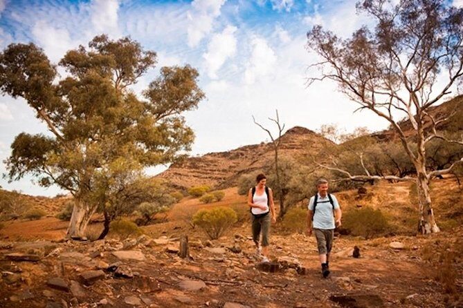 Flinders Ranges 3-Day Small Group 4WD Eco Tour from Adelaide - What Makes This Tour Stand Out?